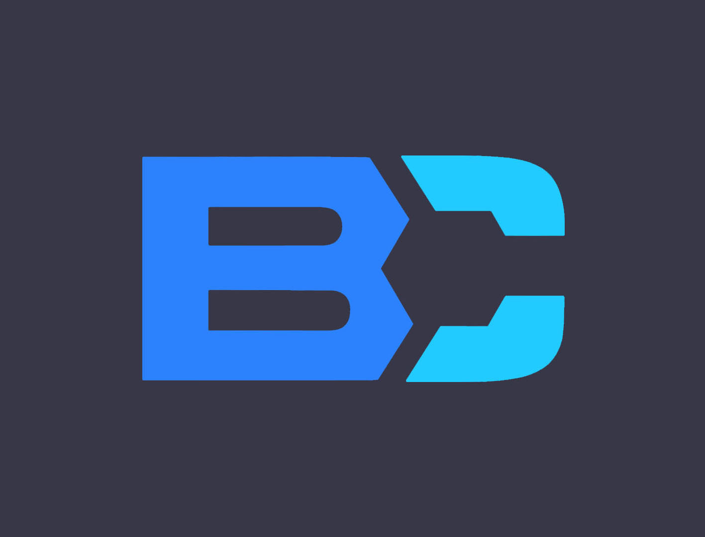 About us – Bionicconcepts